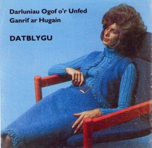 Beibl Datblygu – Tudalen 2